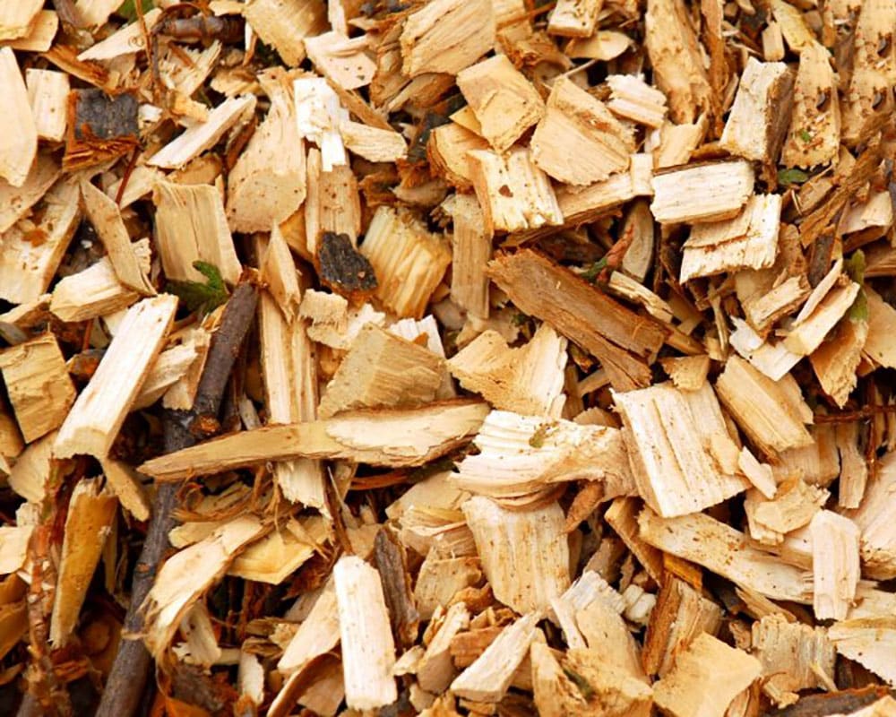 Barbecue Smoking Guide | Wood Chips and Wood Chunks